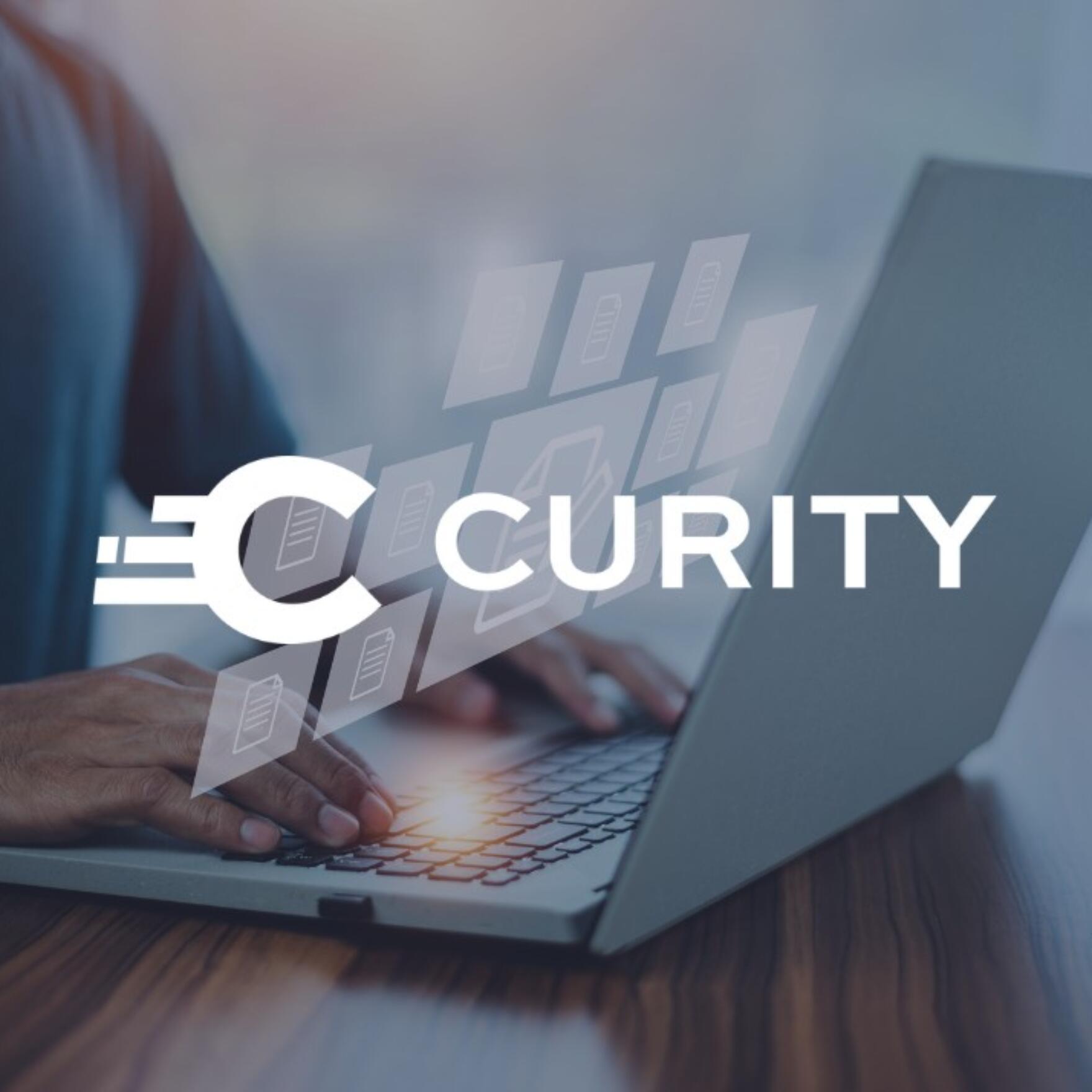 Curity | Arctic Group