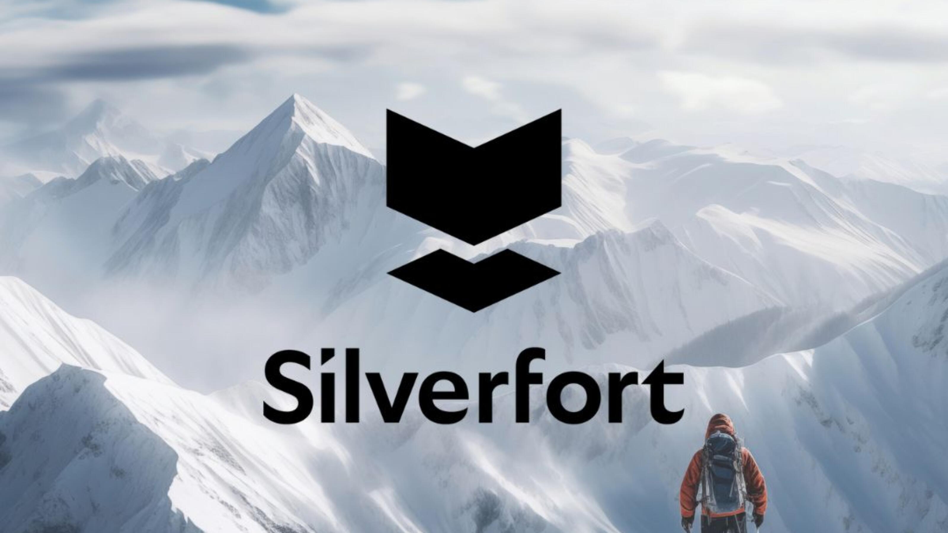 Silverfort | Arctic Group